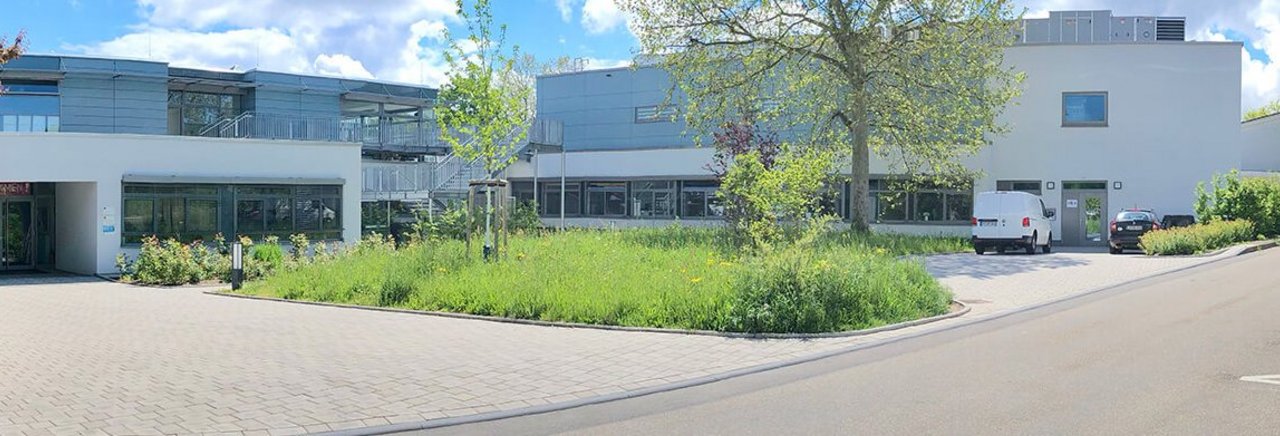 Realschule Tamm - Realschule Tamm